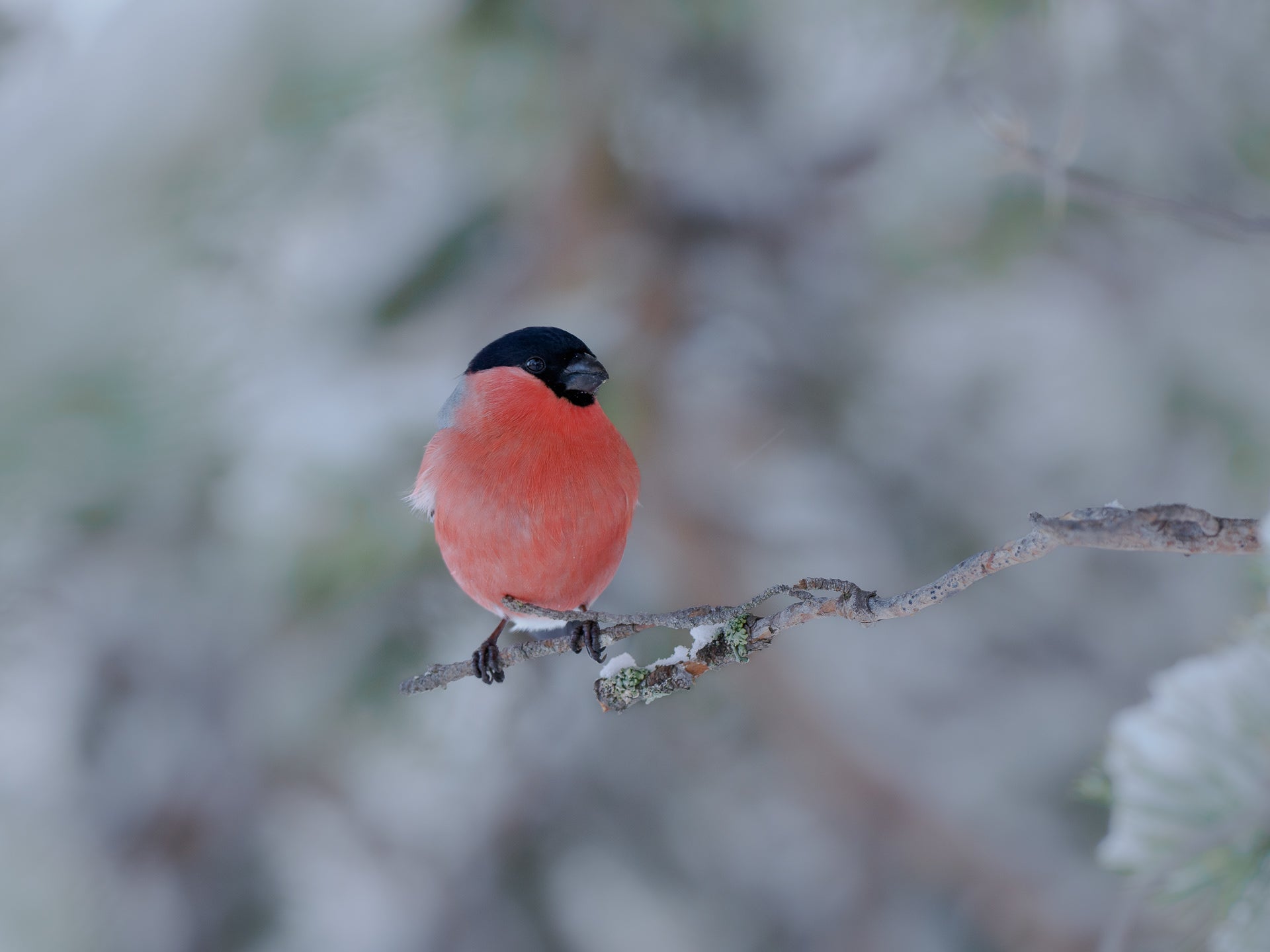 Valstad Photography - nettbutikk