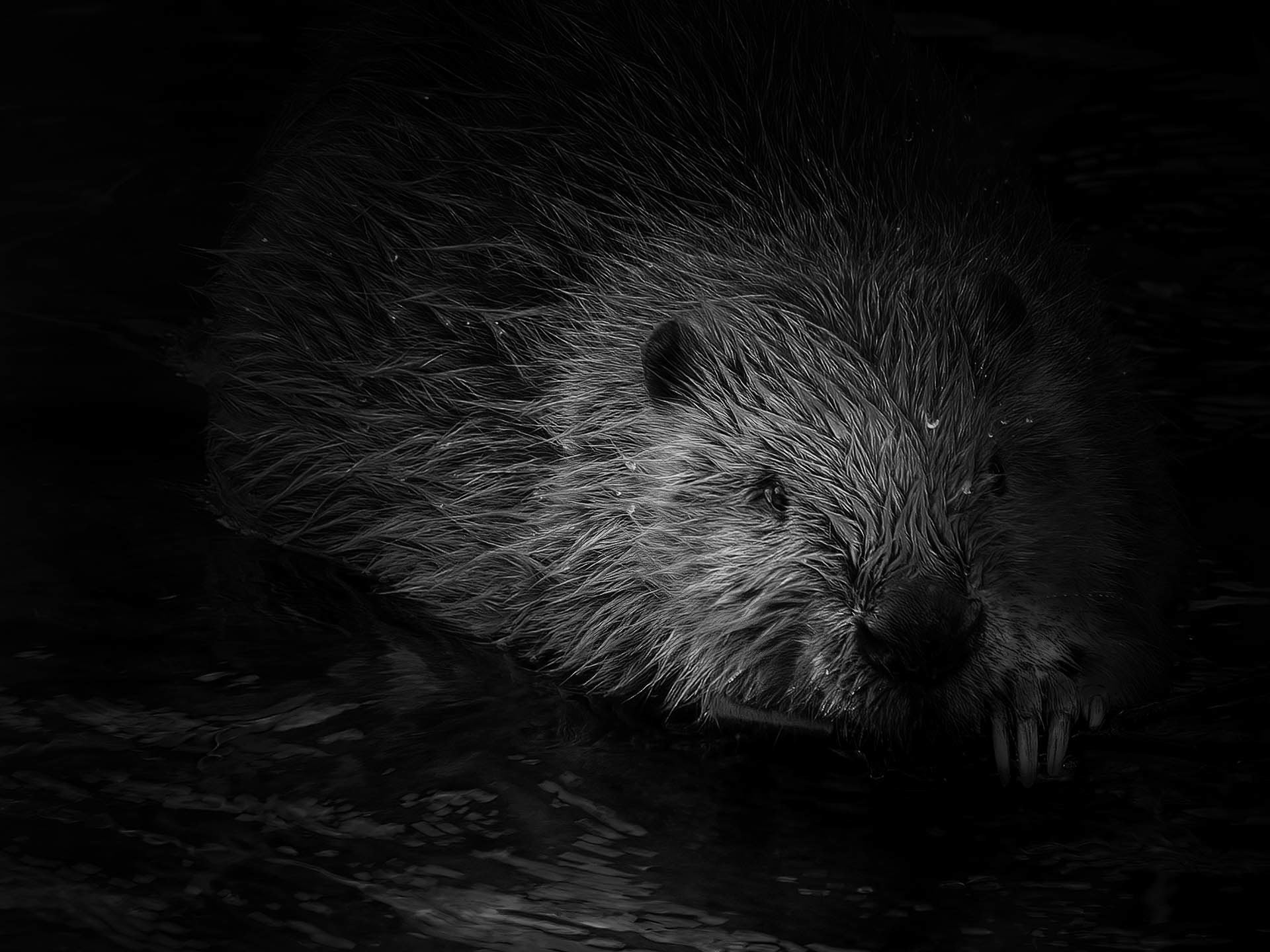 Valstad Photography - nettbutikk